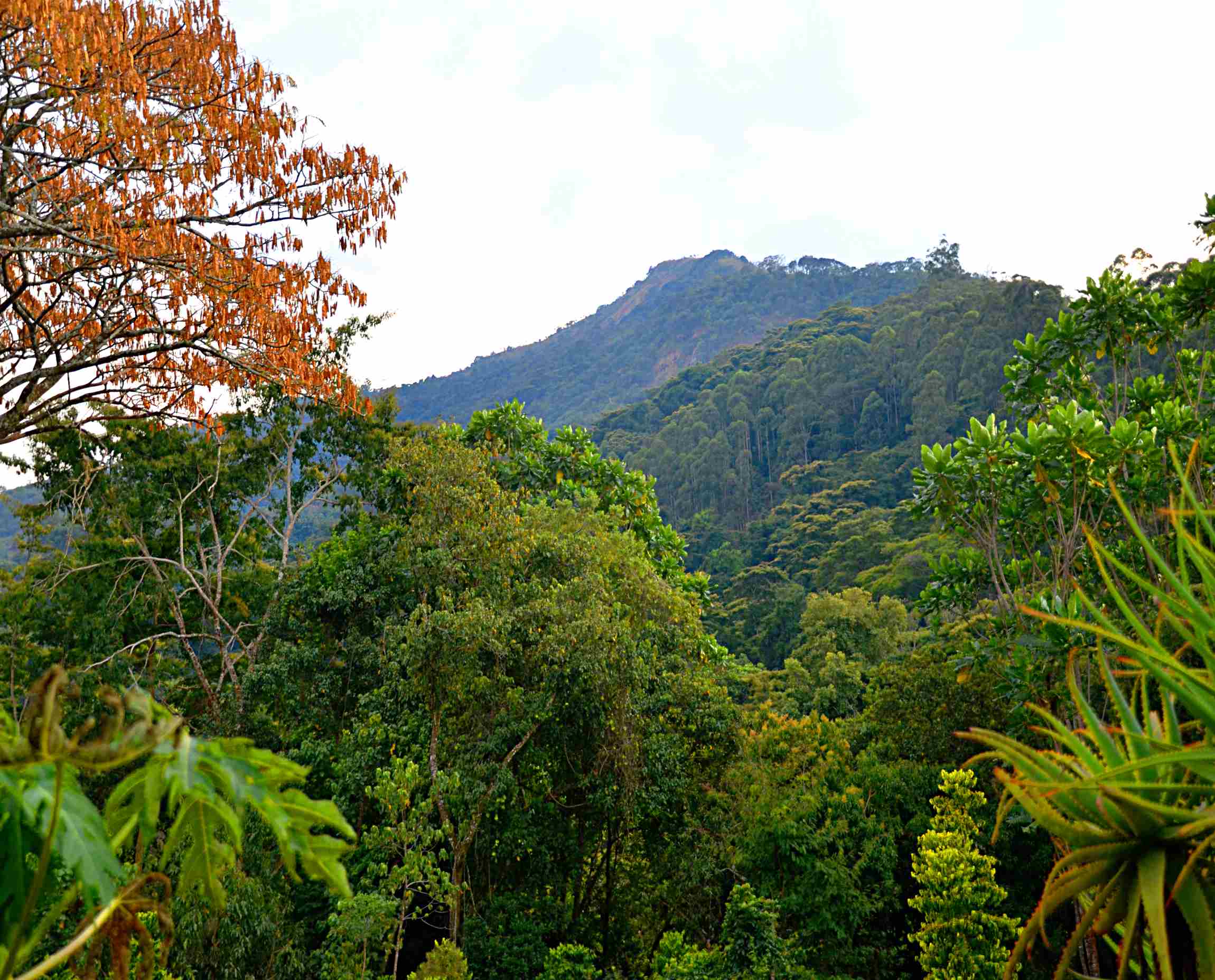 nyanga-en - Ethictours